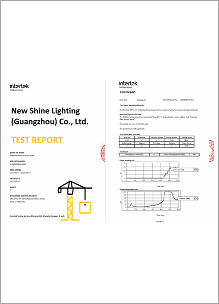 Our Story - New Shine Lighting Co., Limited.